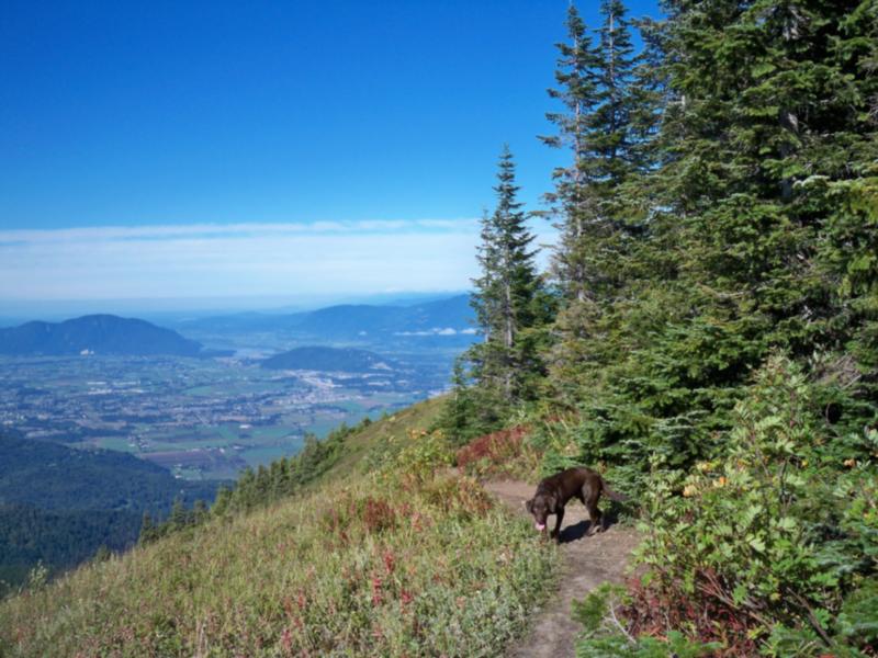Parks & Trails - City of Chilliwack